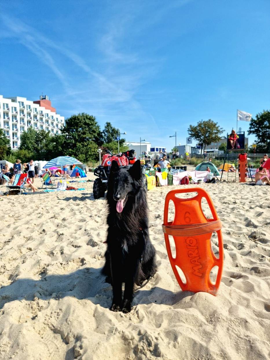 Jacek Borowski i pies Diego podróżują motorem po Polsce i Europie ...